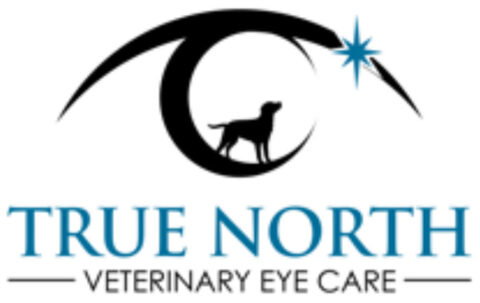 Manitoba’s Veterinary Ophthalmologist | True North Vet
